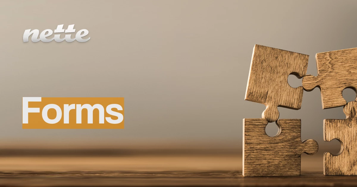 Forms Nette Documentation